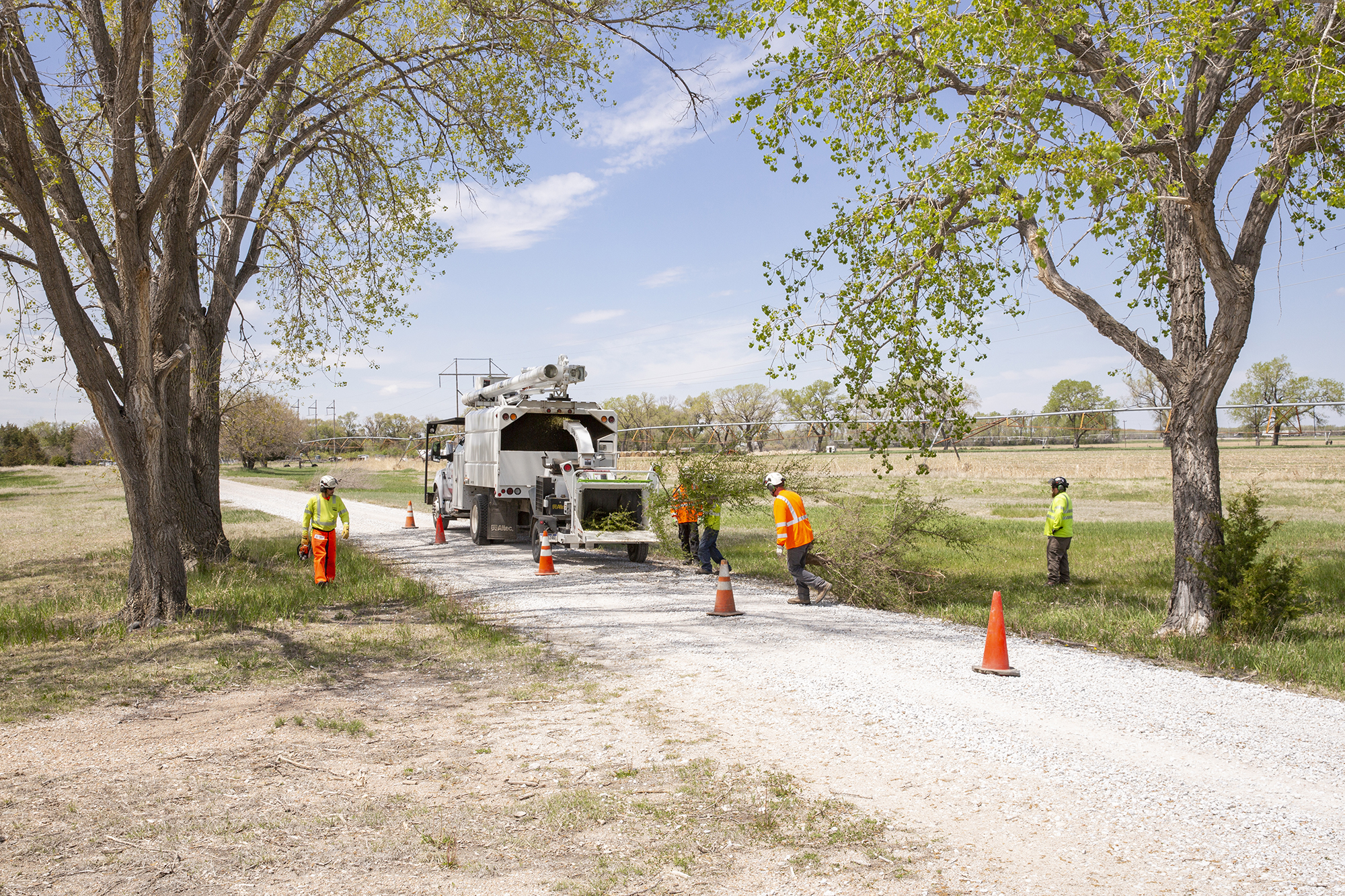 Line Clearance – Forbes Bros. Utility Construction